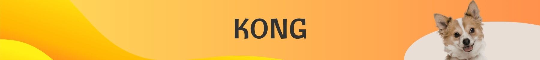 Kong Toys – Durable & Fun Dog Toys Collection – Pet Bites