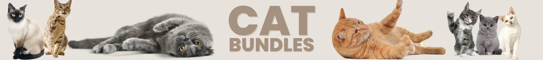 Buy Cat Gifts in Australia| PetBites – Pet Bites