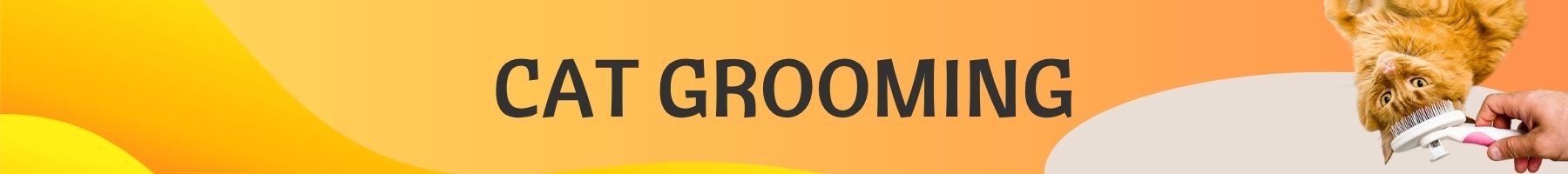 Cat Pamper & Grooming