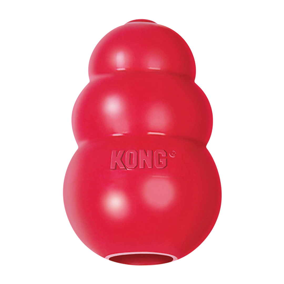 KONG Dog Classic Large (T1) – Pet Bites