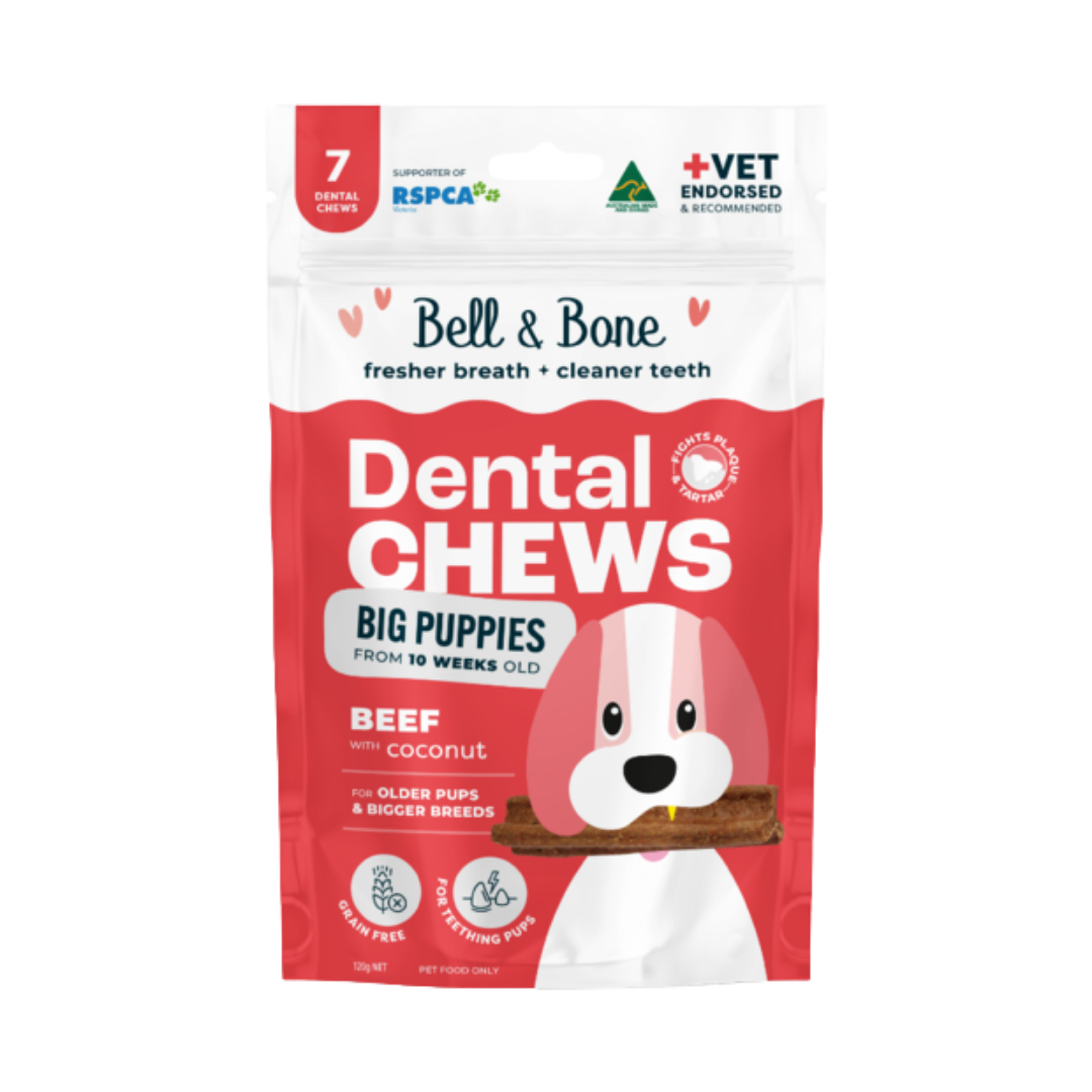 Bell & Bone Puppy Dental Chews in Beef & Coconut LG | Pet Bites