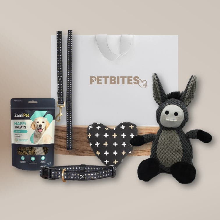 Welcome Your New Puppy with the New Puppy Bundle | Petbites