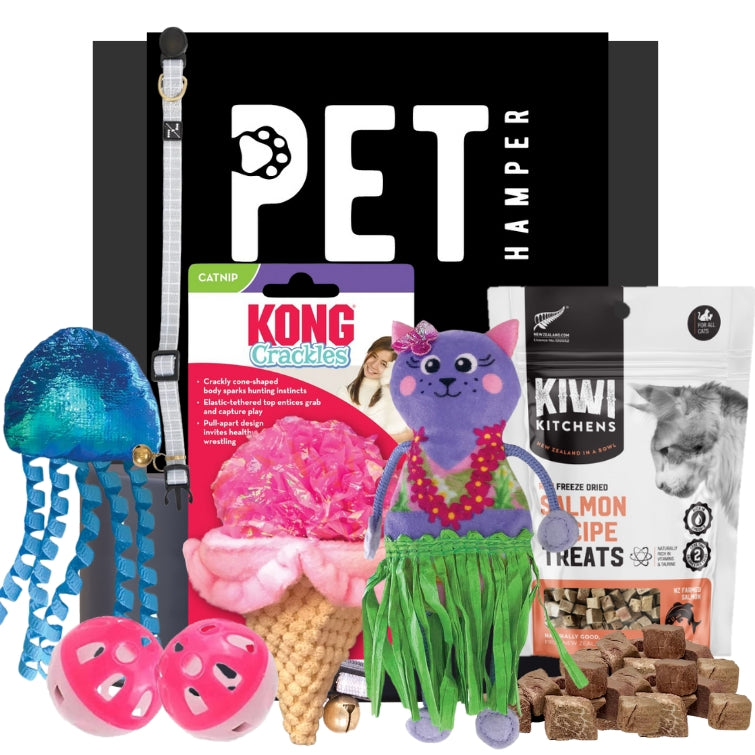 Buy Birthday Cat Hamper | Petbites – Pet Bites