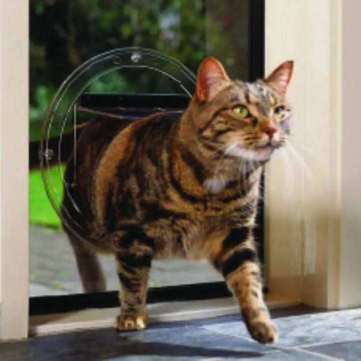Transcat replacement clear frame for small cat door – Pet Bites