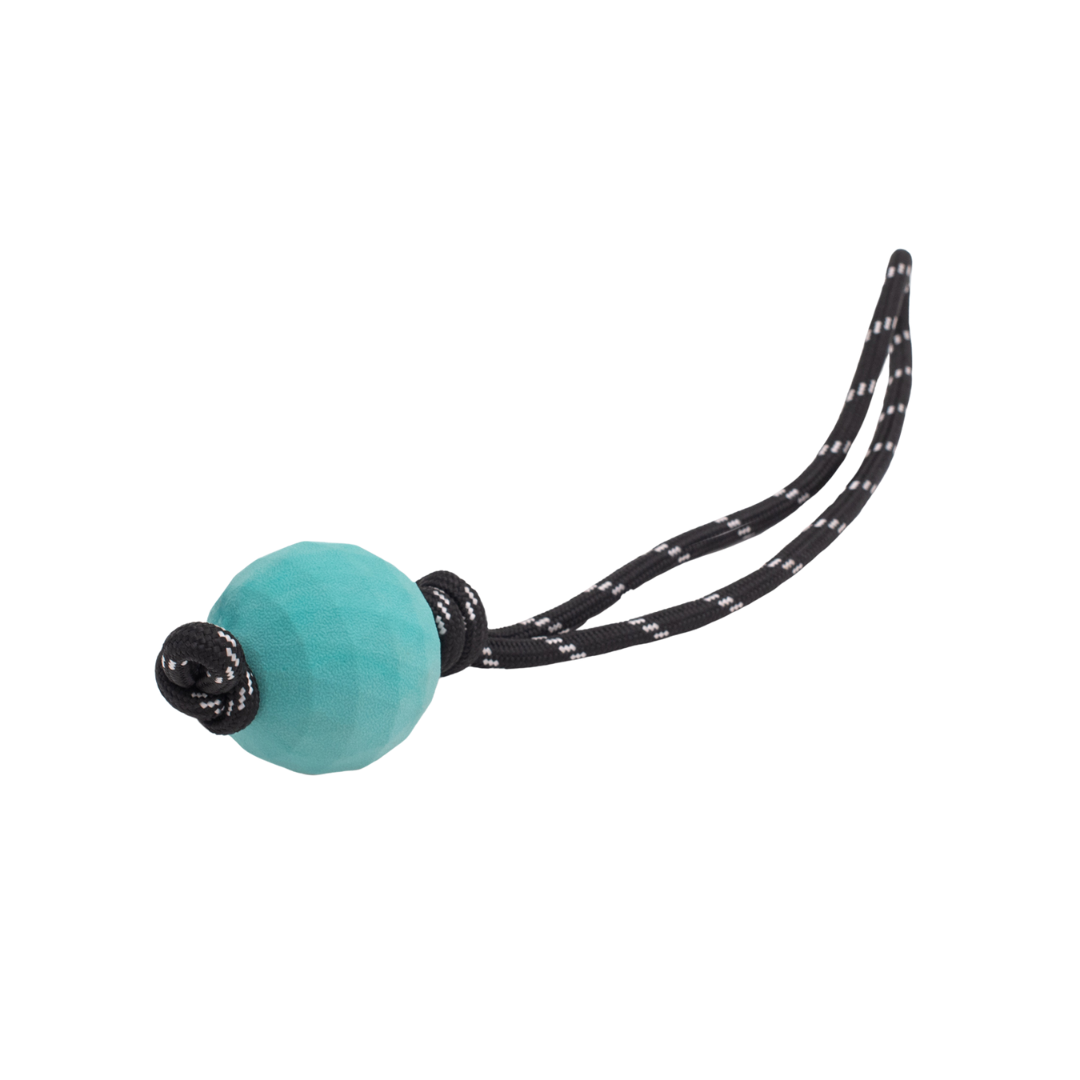 ZIPPYPAWS ZIPPYTUFF - WAGGLE BALL ROPETUGZ