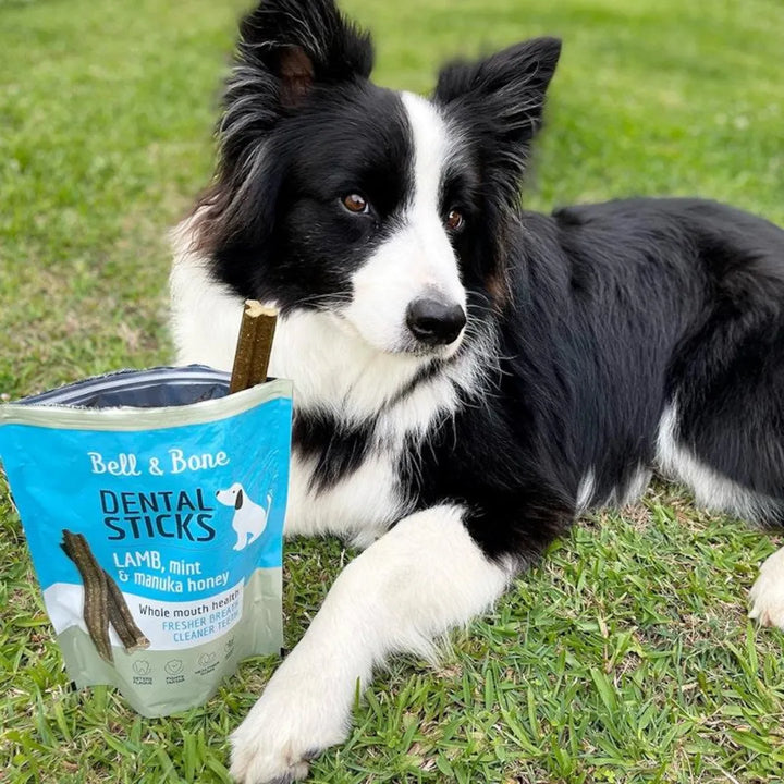 bell bone dog dental sticks lamb mint manuka honey lg – Pet Bites