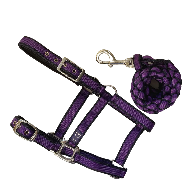 ANIPAL AUTUMN LILAC COMFORT HALTER & LEAD SET PONY – Pet Bites