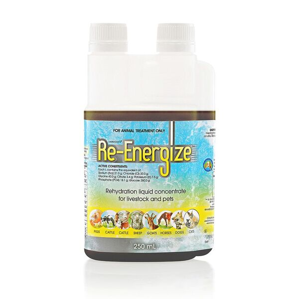 IAH RE-ENERGIZE 250ML – Pet Bites
